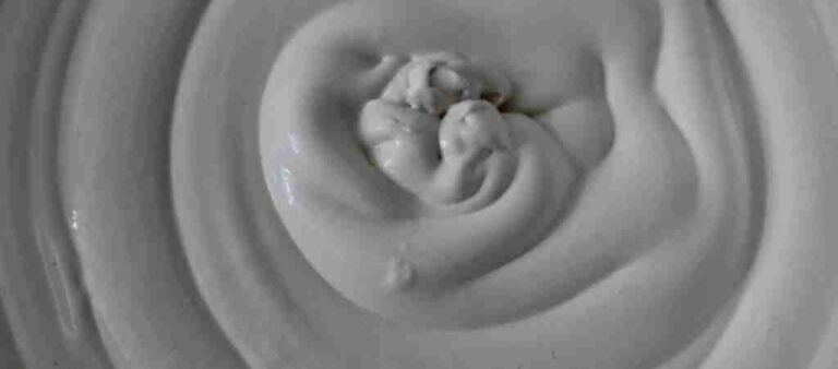 8 Types of Plaster to Consider for Your Next Remodeling Project