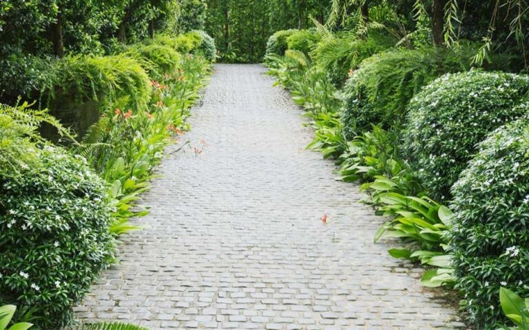 Best 5 Walkway Ideas on a Budget You Need to Know!
